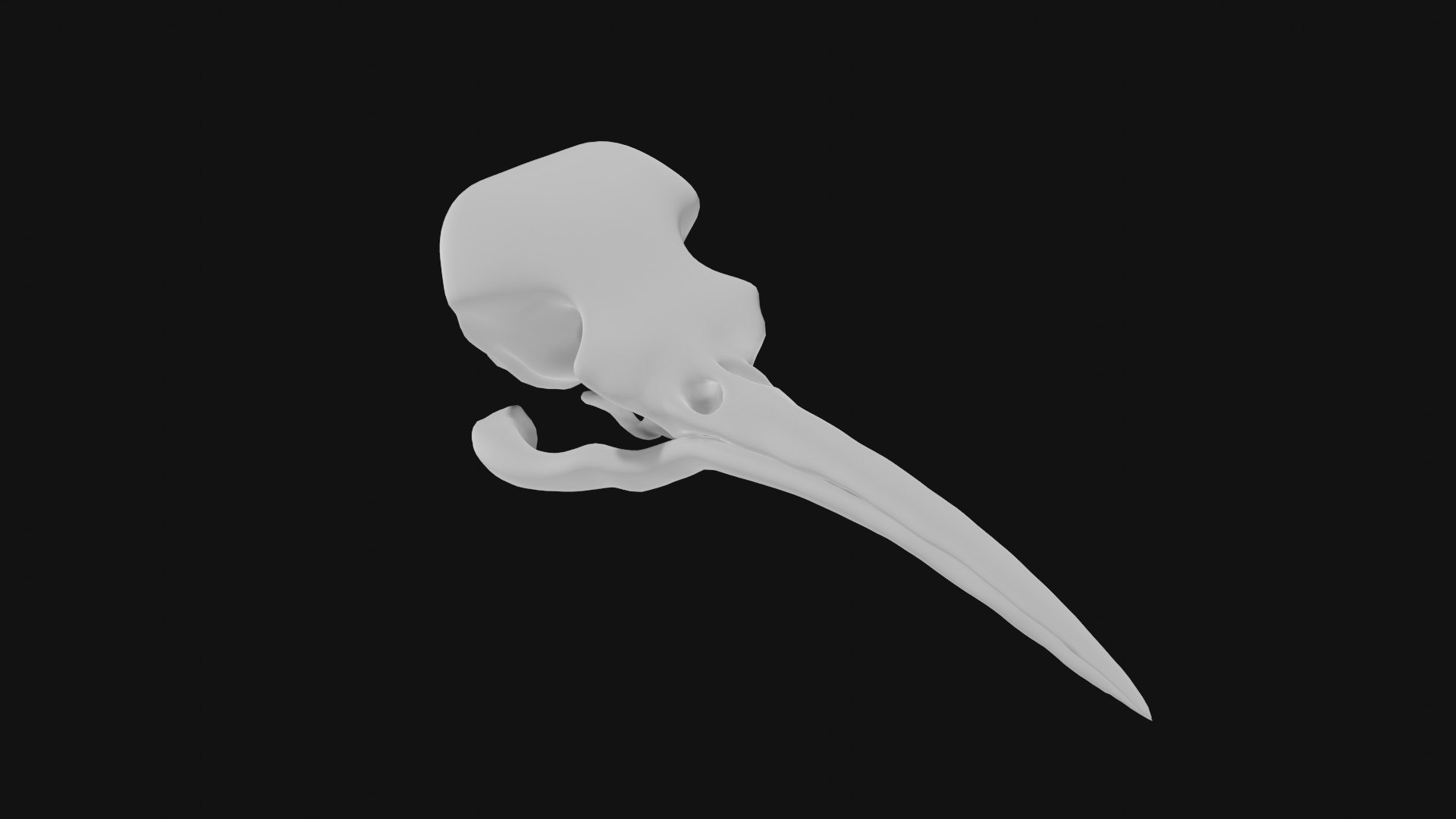 3D Model Hummingbird Skull - TurboSquid 1991841