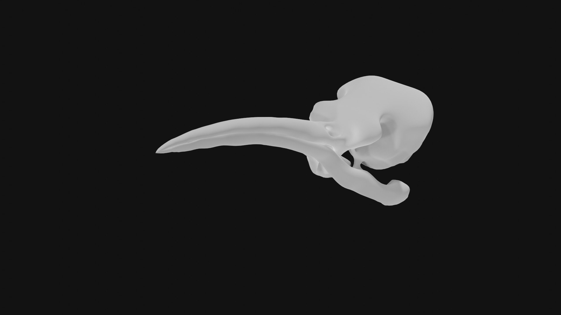 3D Model Hummingbird Skull - TurboSquid 1991841
