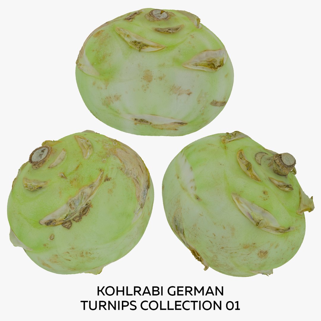 3D model Kohlrabi German Turnips Collection 01 - 3 models RAW Scans ...