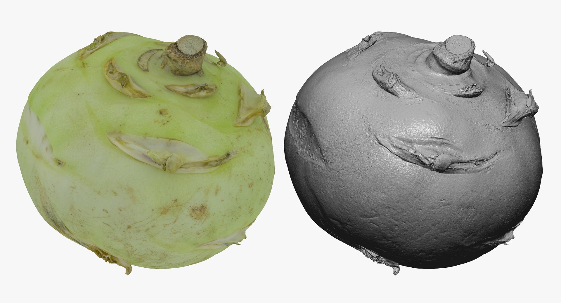 3D model Kohlrabi German Turnips Collection 01 - 3 models RAW Scans ...