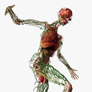 Rigged 3D Voice Ai V1 Ai Tool For Videos Models For Download | TurboSquid