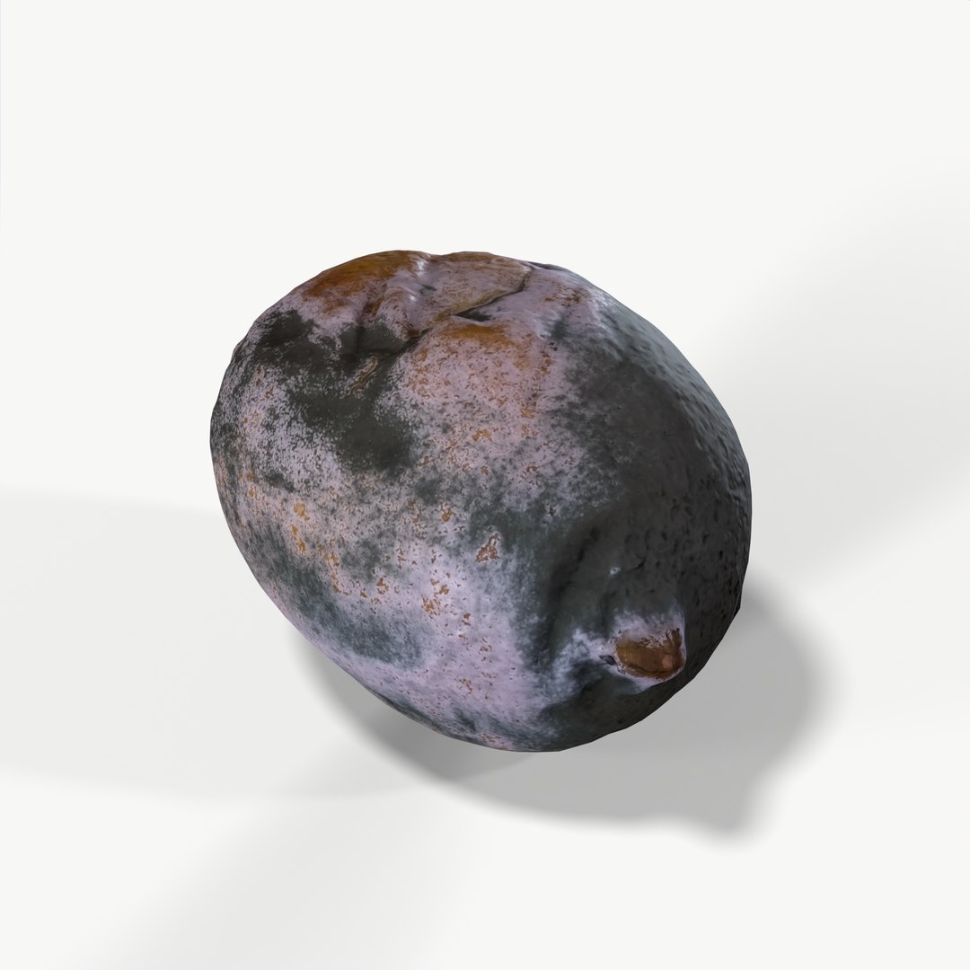 High Quality Scan Spoiled Lemon - 2 3D Model - TurboSquid 2189924
