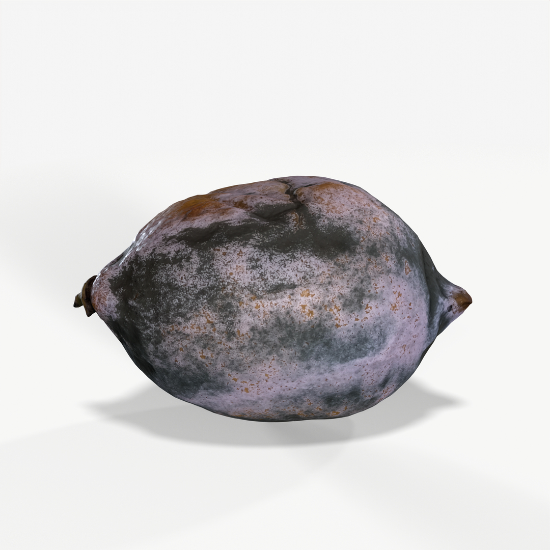 High Quality Scan Spoiled Lemon - 2 3D Model - TurboSquid 2189924