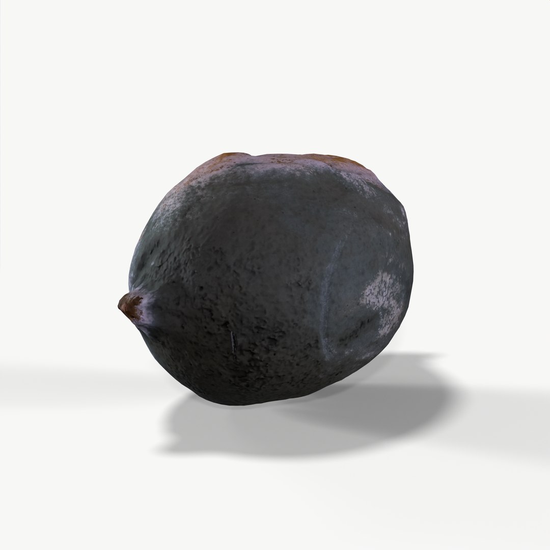 High Quality Scan Spoiled Lemon - 2 3D Model - TurboSquid 2189924