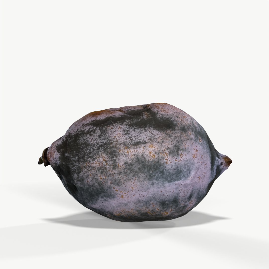 High Quality Scan Spoiled Lemon - 2 3D Model - TurboSquid 2189924