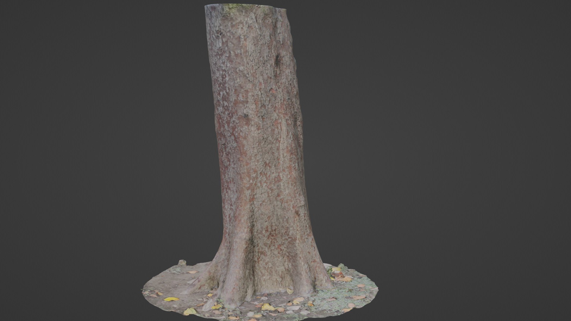 3D Tree - TurboSquid 2332567