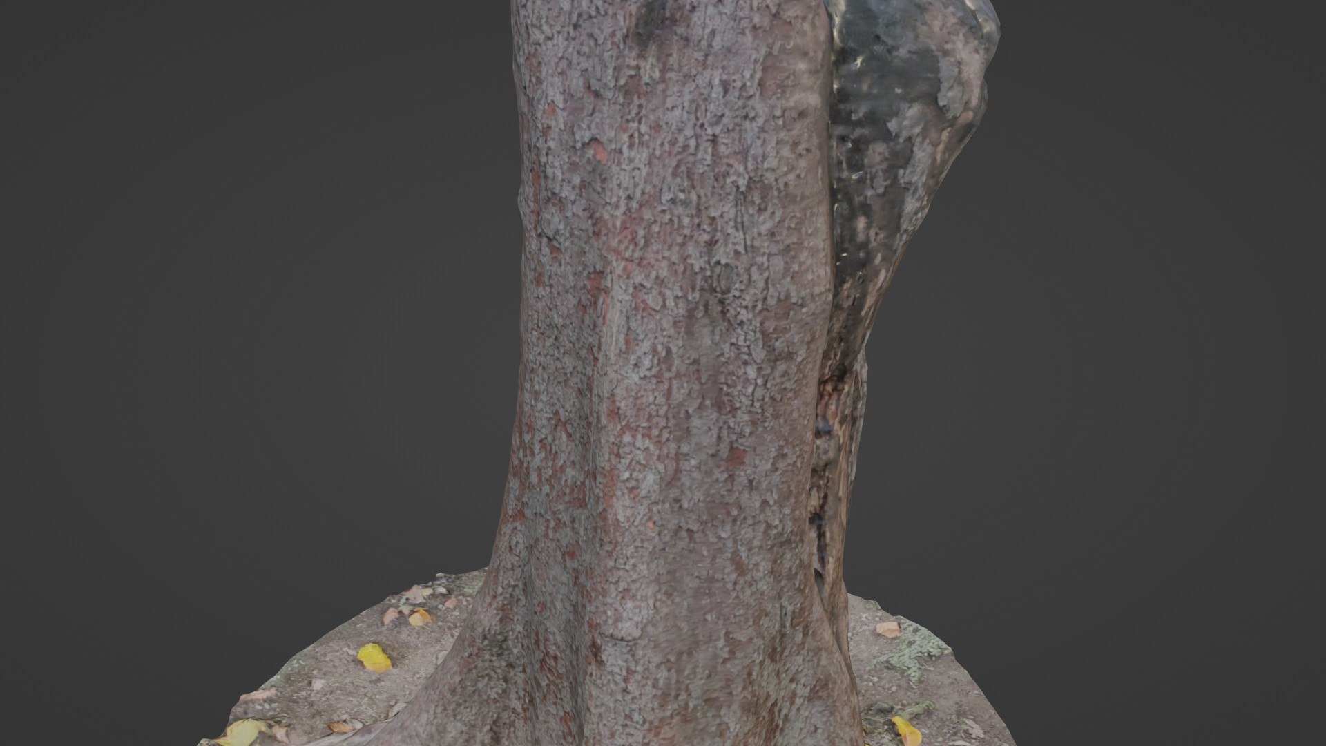 3D Tree - TurboSquid 2332567