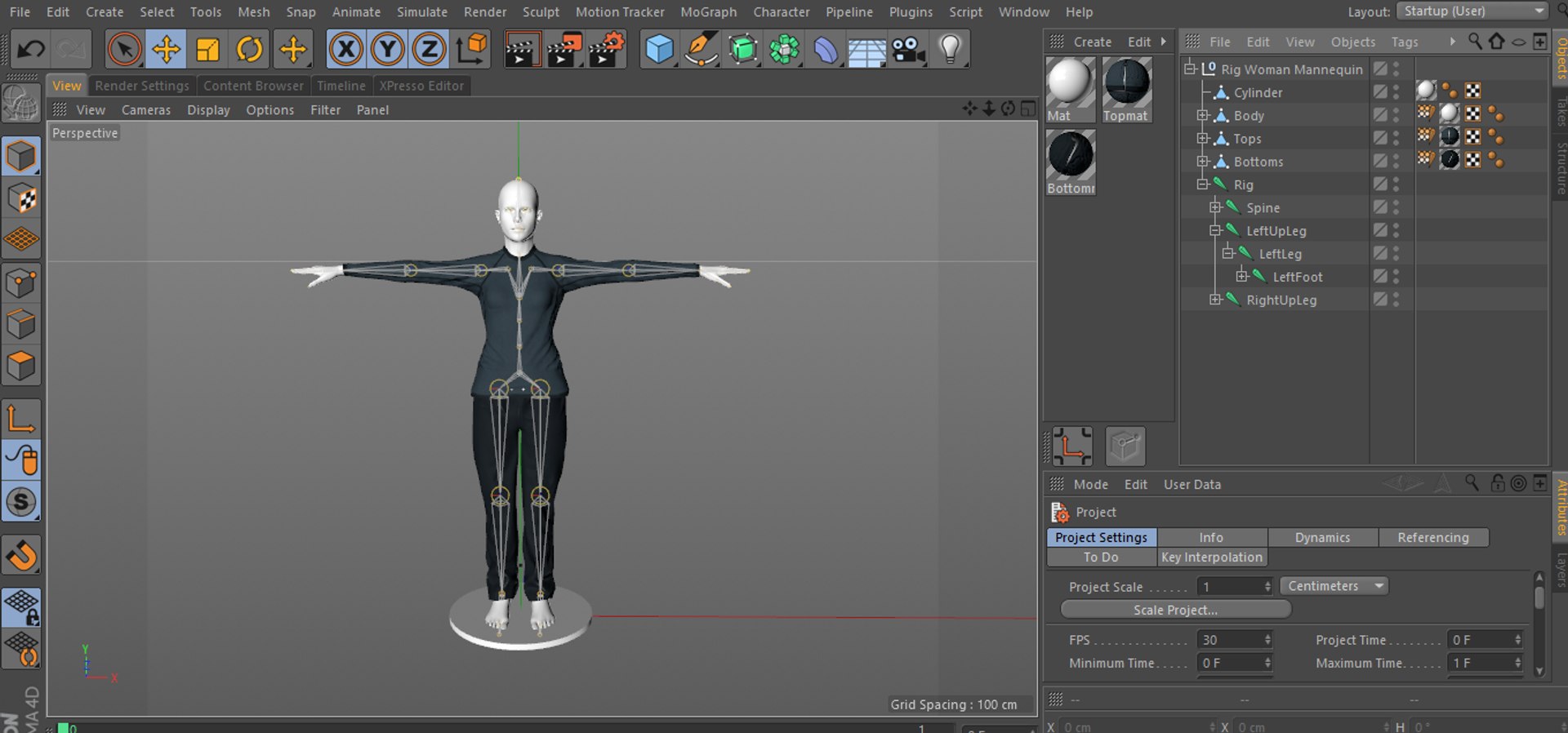 3d Rig Woman Mannequin