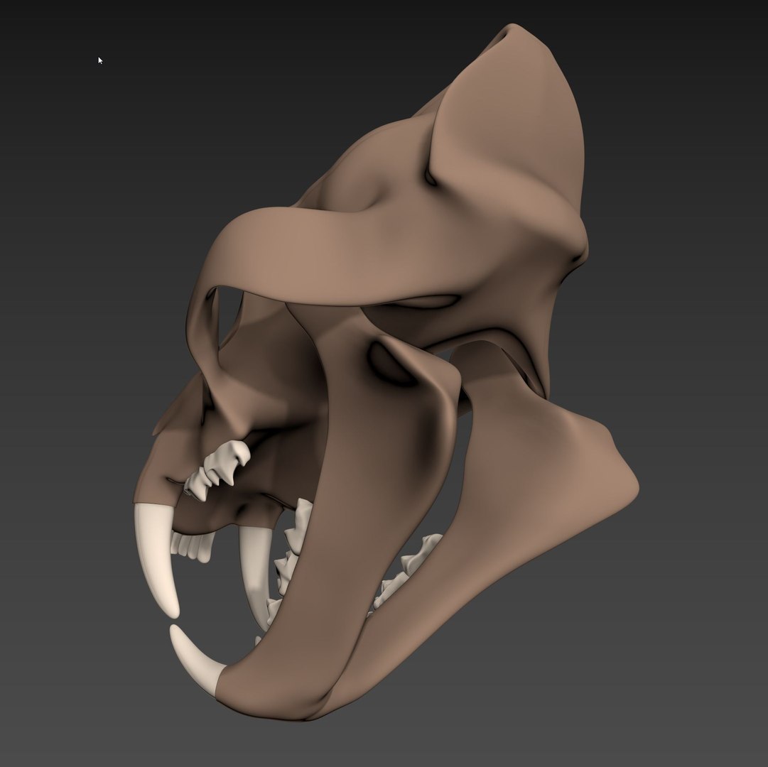3D Tiger Skull Model - TurboSquid 1532622