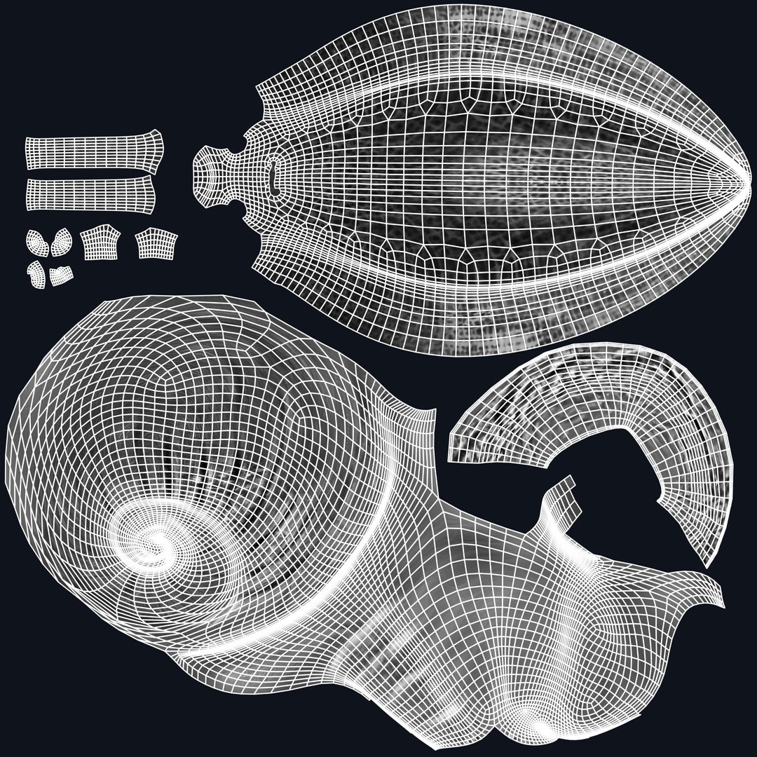 3D Model Snail - TurboSquid 1845583