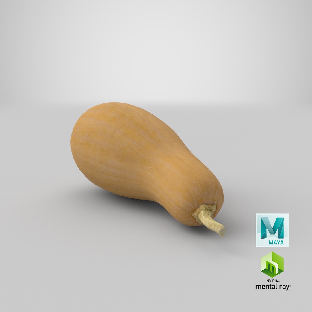 Pumpkin 02 3D Model - TurboSquid 1341309