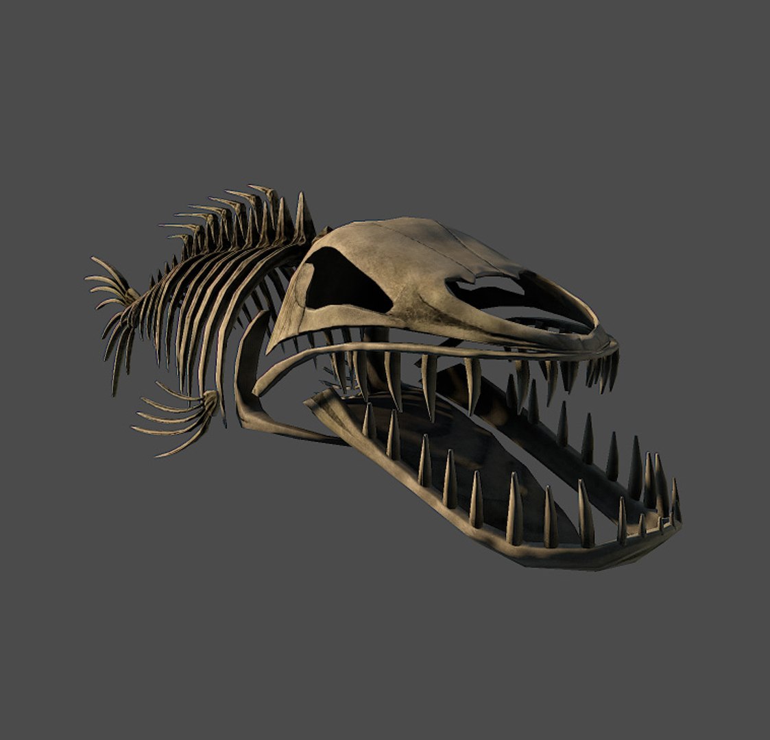 Fish Skeleton Max