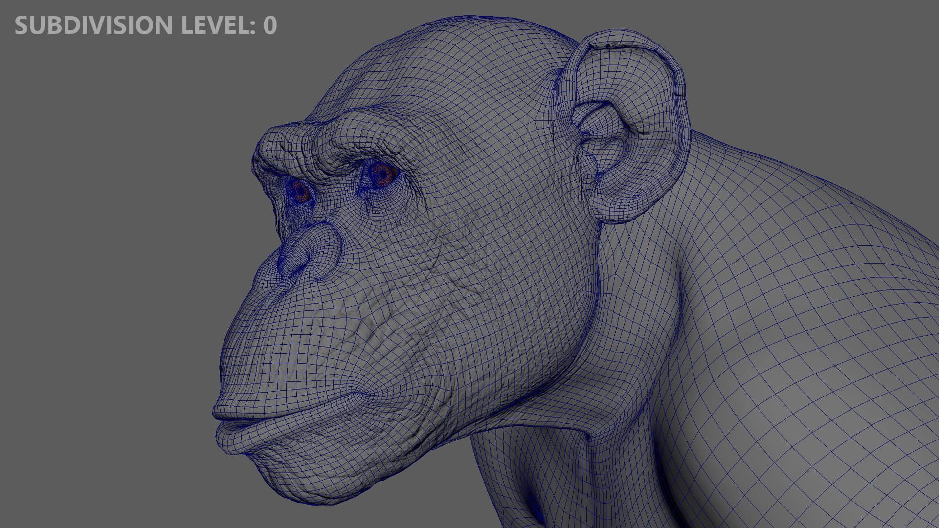 Monkeys RIGGED collection 3D model - TurboSquid 2048932