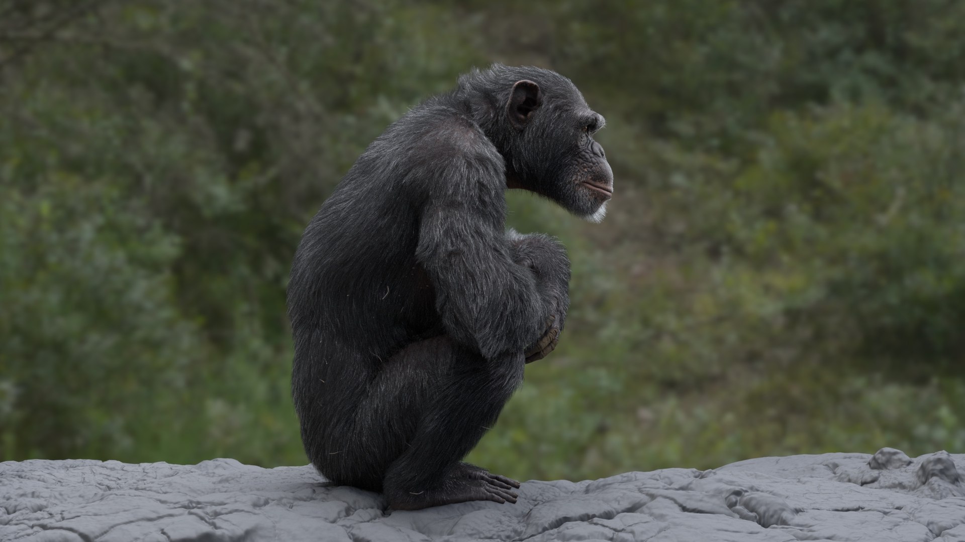 Monkeys RIGGED collection 3D model - TurboSquid 2048932