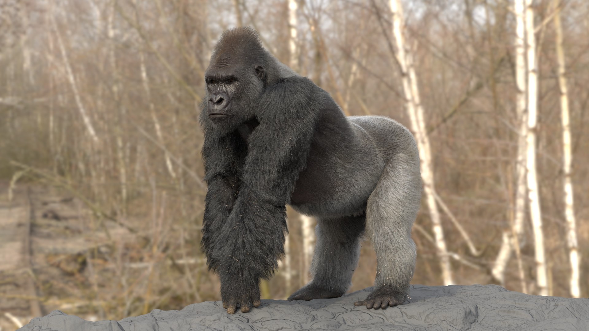 Monkeys RIGGED collection 3D model - TurboSquid 2048932