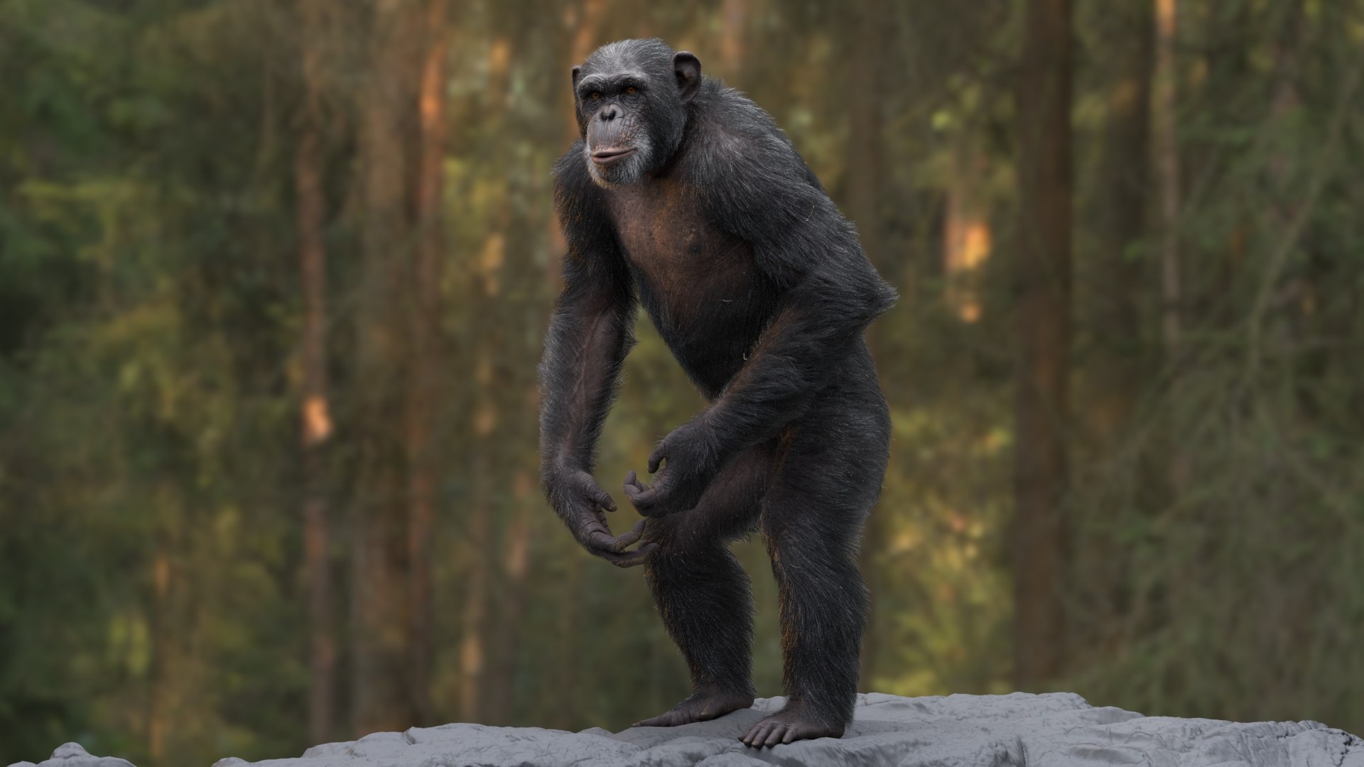 Monkeys RIGGED collection 3D model - TurboSquid 2048932