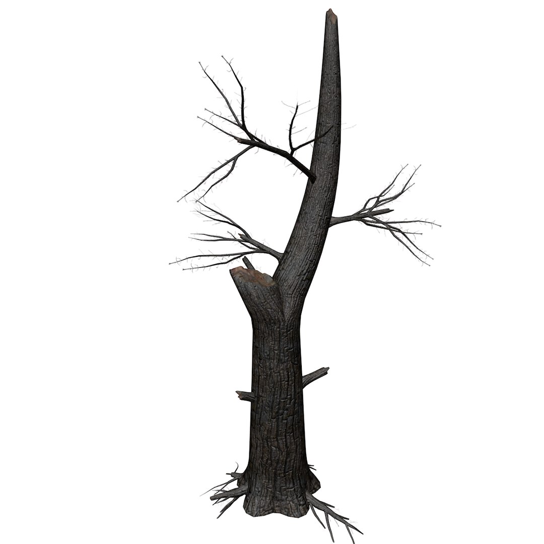 3D Burnt Tree - 04 - - TurboSquid 2371823