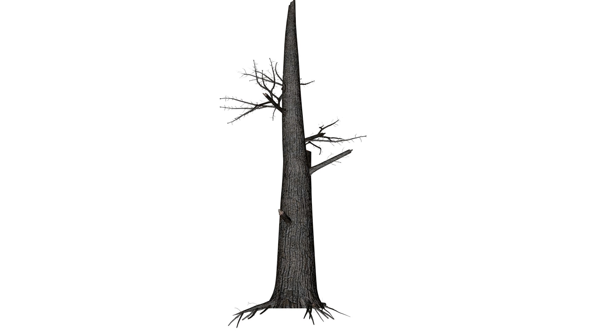 3D Burnt Tree - 04 - - TurboSquid 2371823