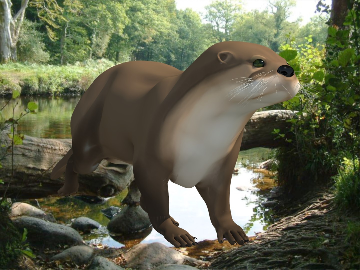 Otter Scene 3d Model