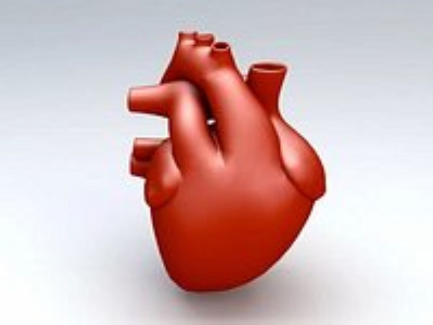 3D Human Body Collection - TurboSquid 2235752