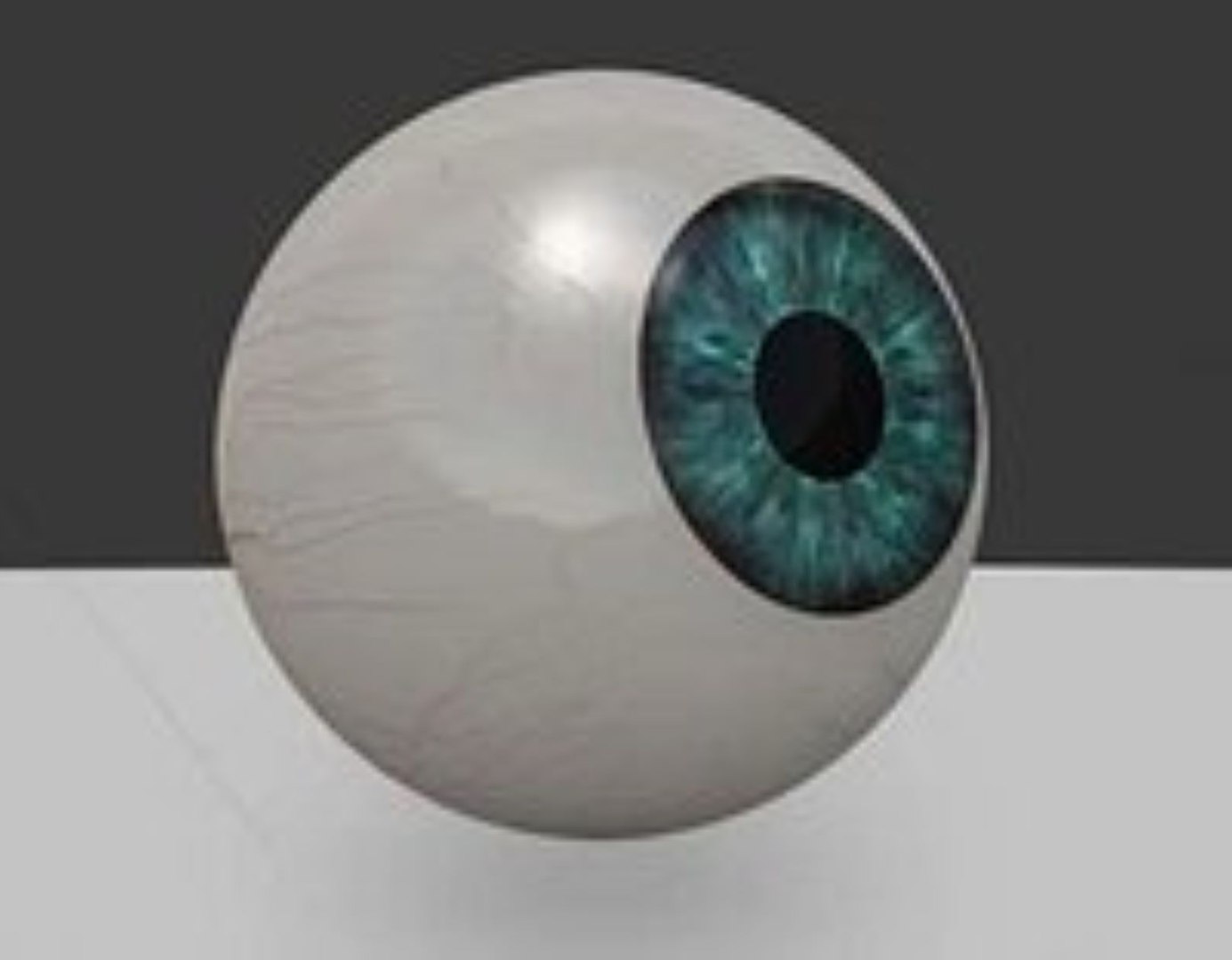 3D Human Body Collection - TurboSquid 2235752