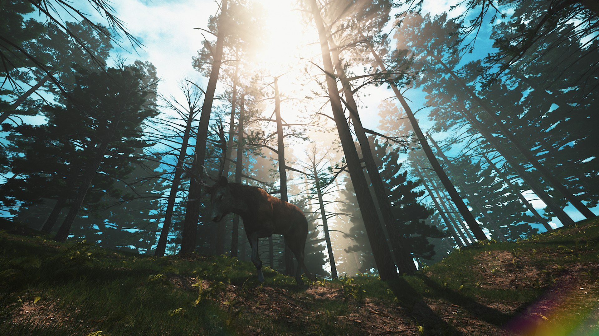 3D C4D Octane Render Forest Early Morning Tropical Rainforest River Elk Scene - TurboSquid 1894457