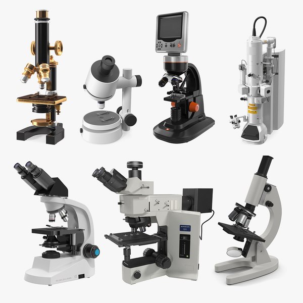 Stereo Microscope 3D Models for Download | TurboSquid