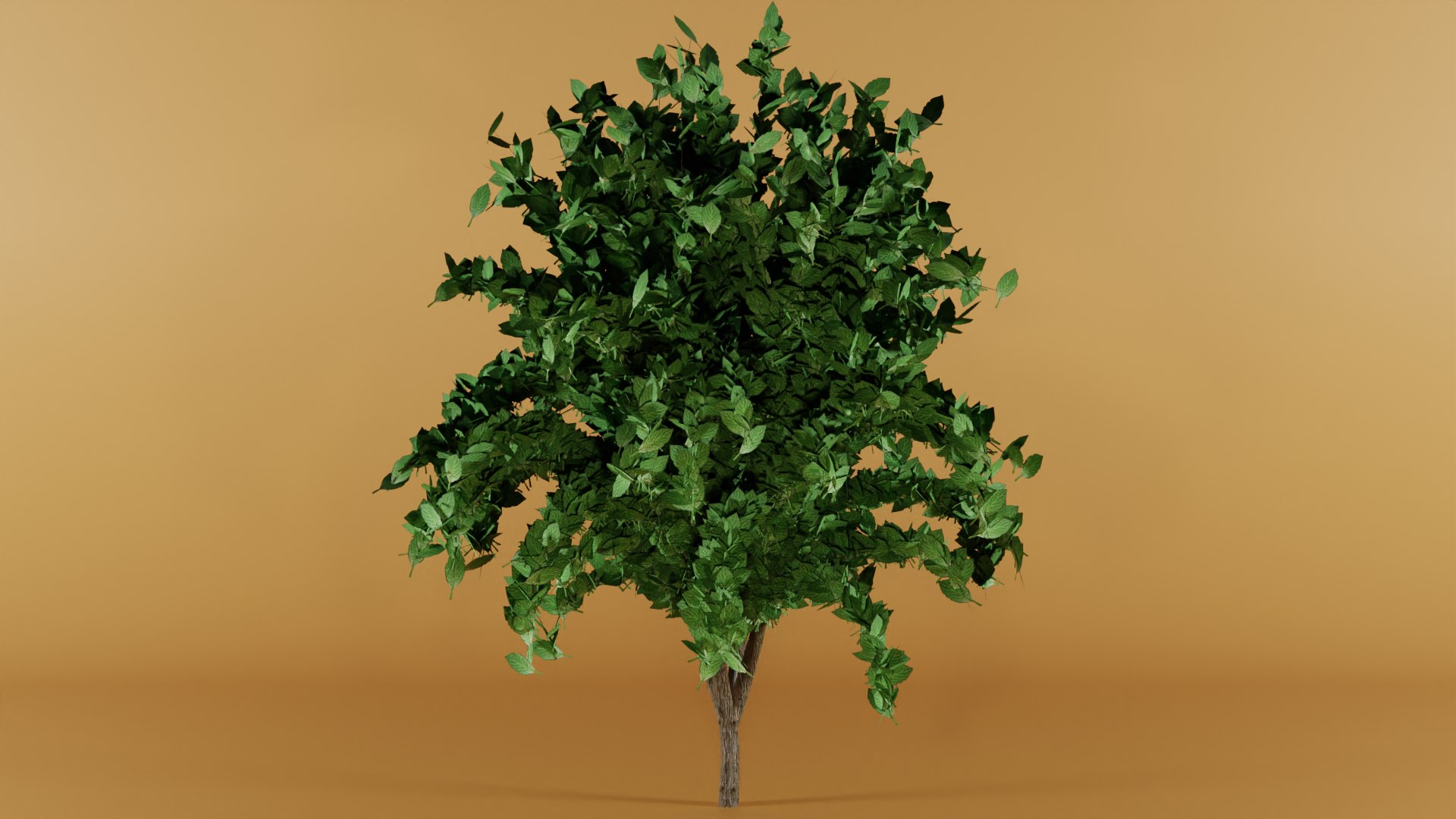 Tree with Leaves 3D - TurboSquid 1822486