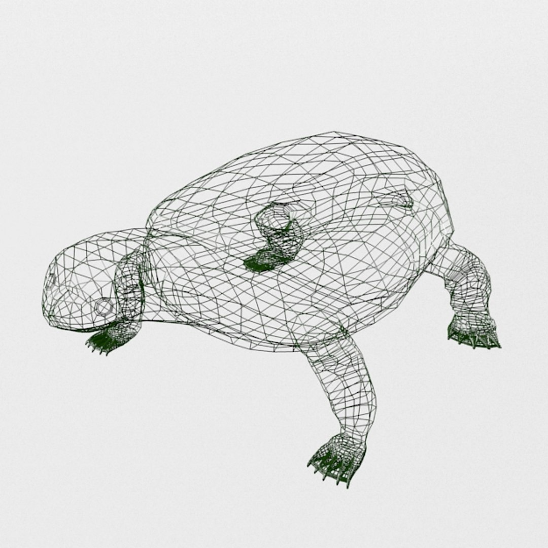 3D Oriental Painted Turtle - TurboSquid 1364345