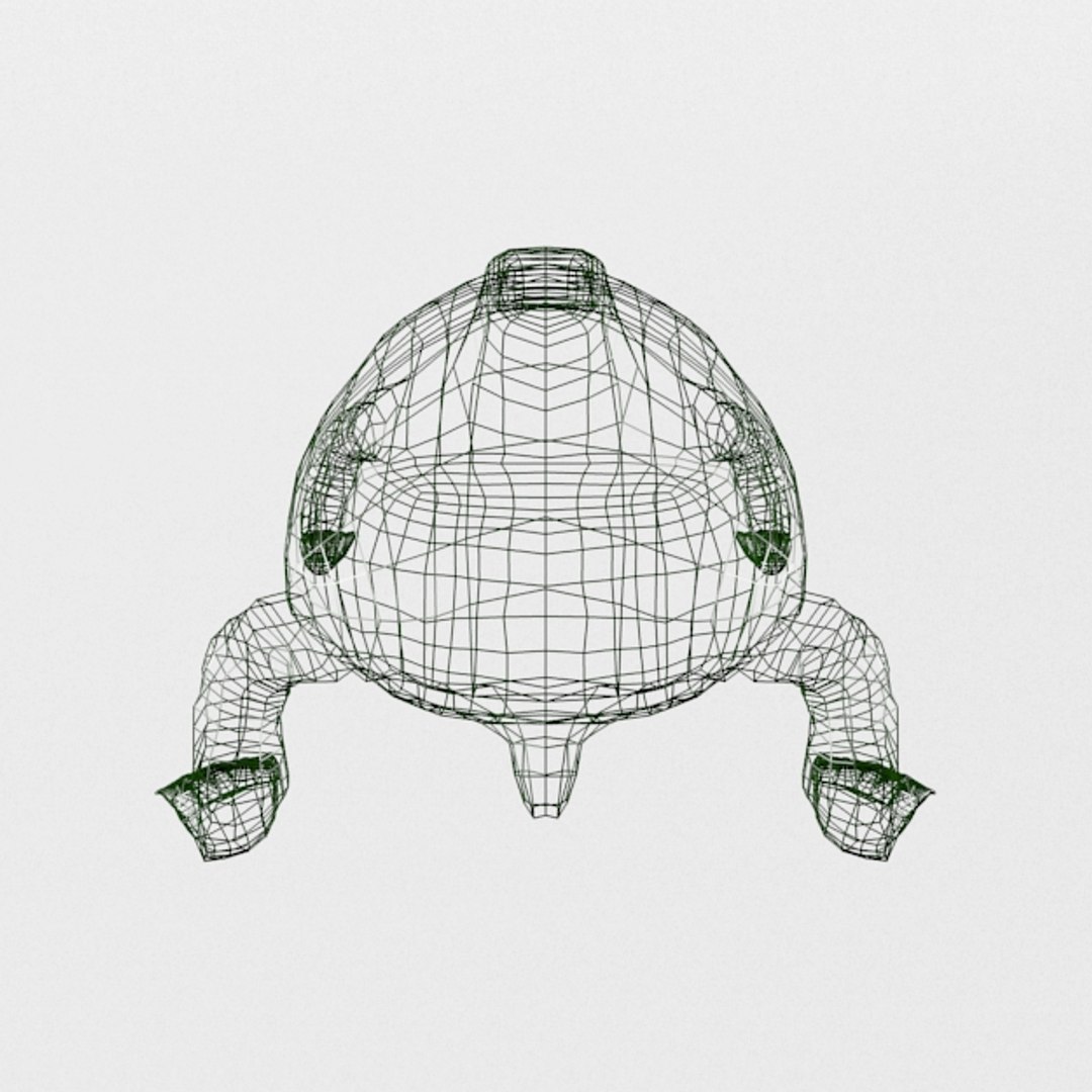 3D Oriental Painted Turtle - TurboSquid 1364345