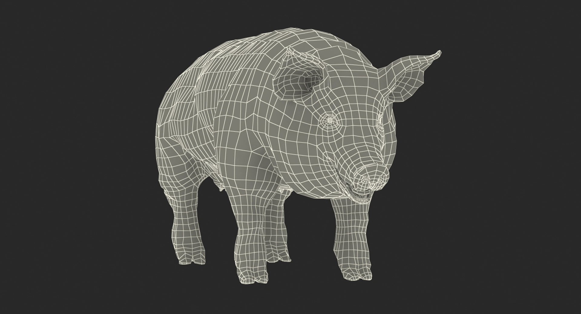 Hampshire Pig Sow Fur Model - TurboSquid 1355716