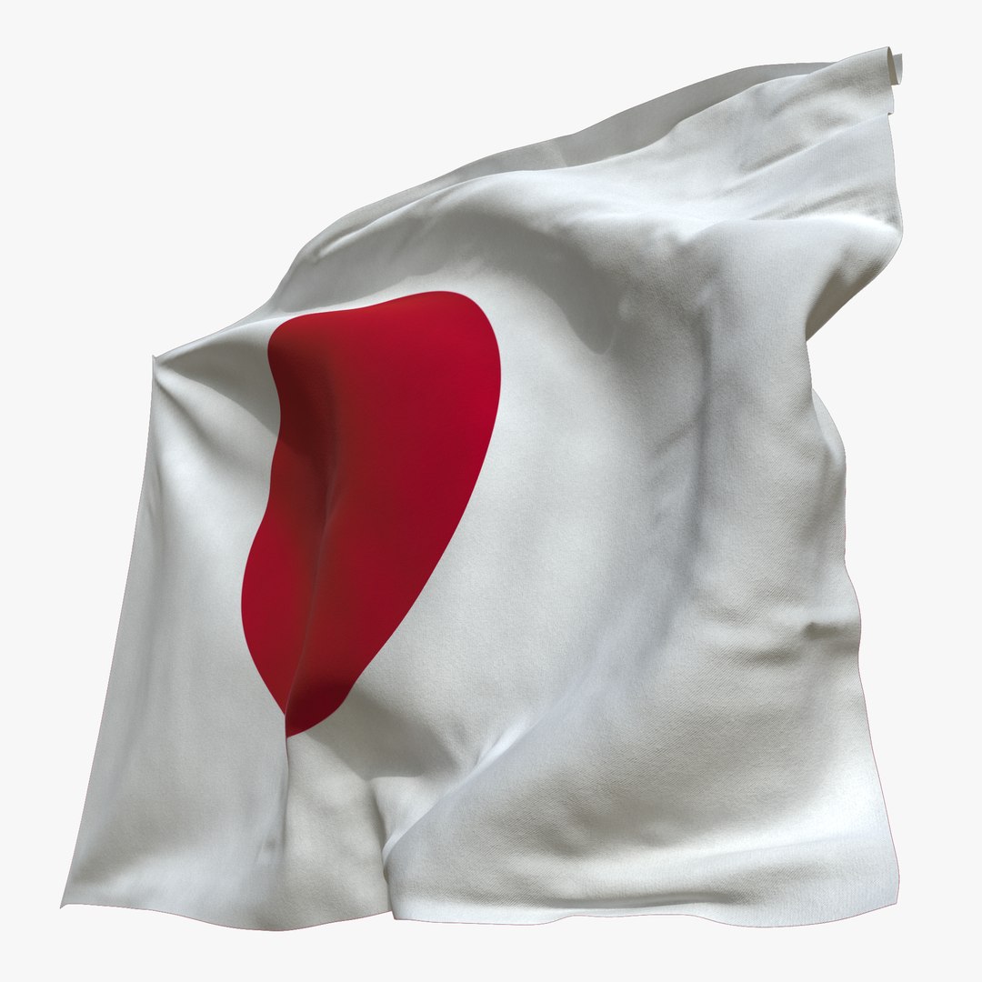 3D Realistic Animated Flag - Microtexture Rigged - Put Your Own Texture ...