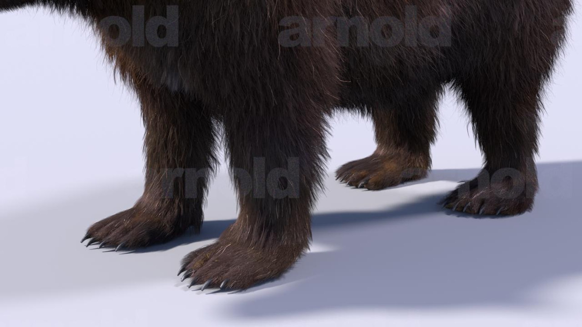 Bear Xgen Fur 3d Ma