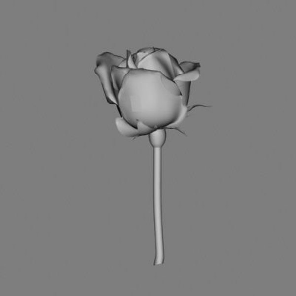 3D 3D Studio rose flower floral