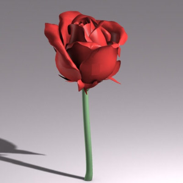 3D 3D Studio rose flower floral