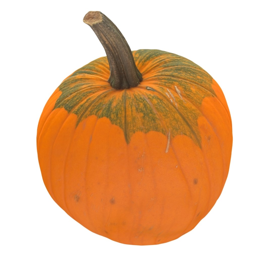 3d pumpkin scan