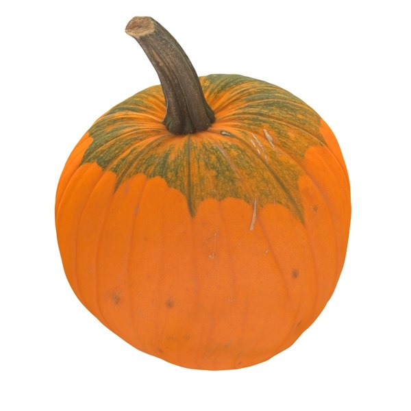 3d pumpkin scan