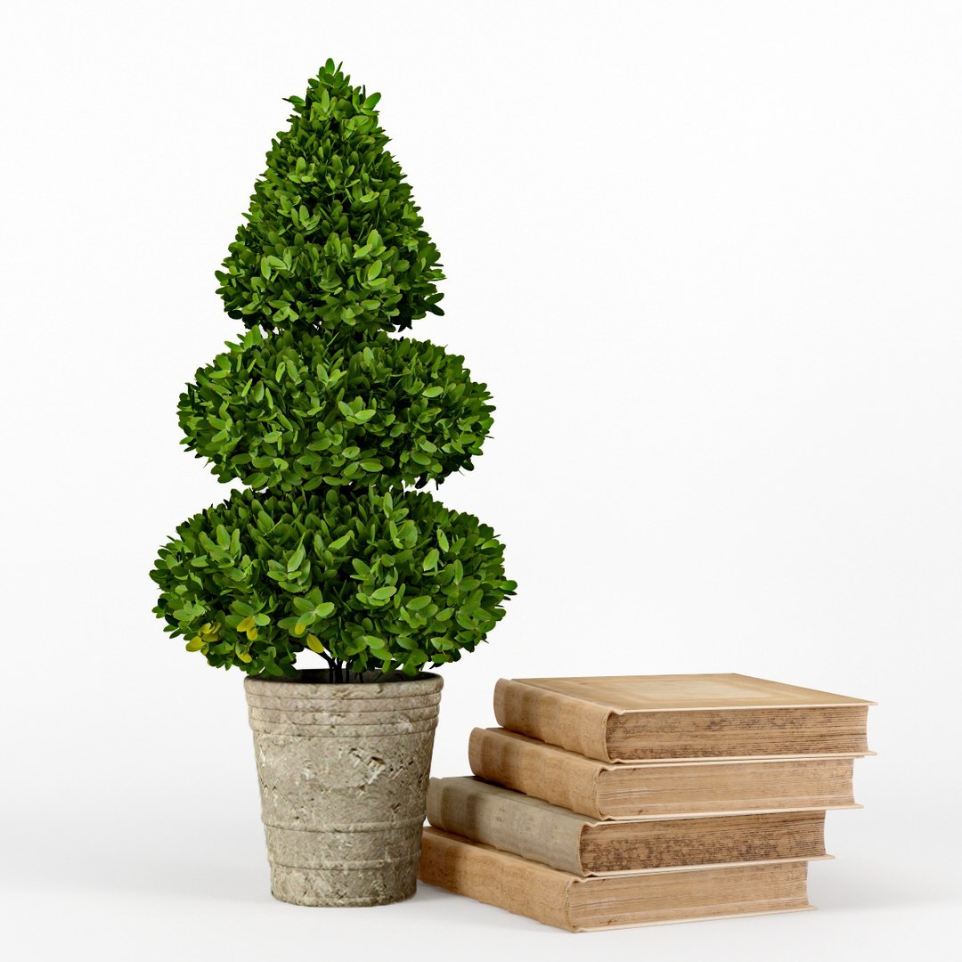 max plant decorative accents trees