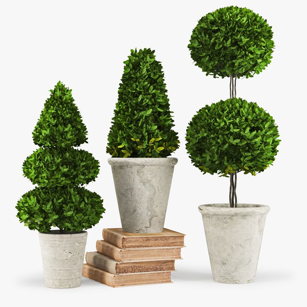 Decorative Tree 3D Models for Download | TurboSquid