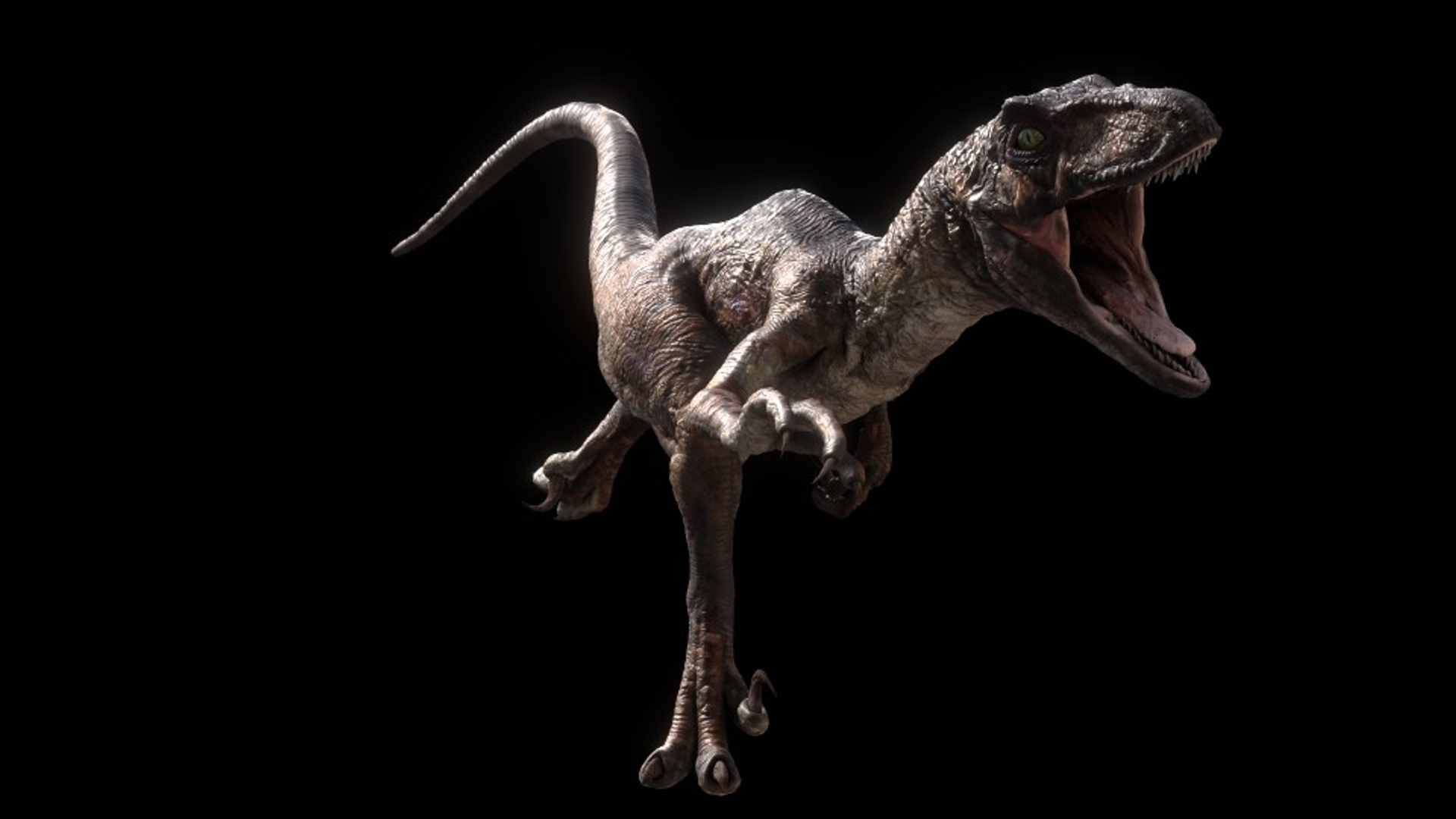 3d Raptor Dinosaur Model