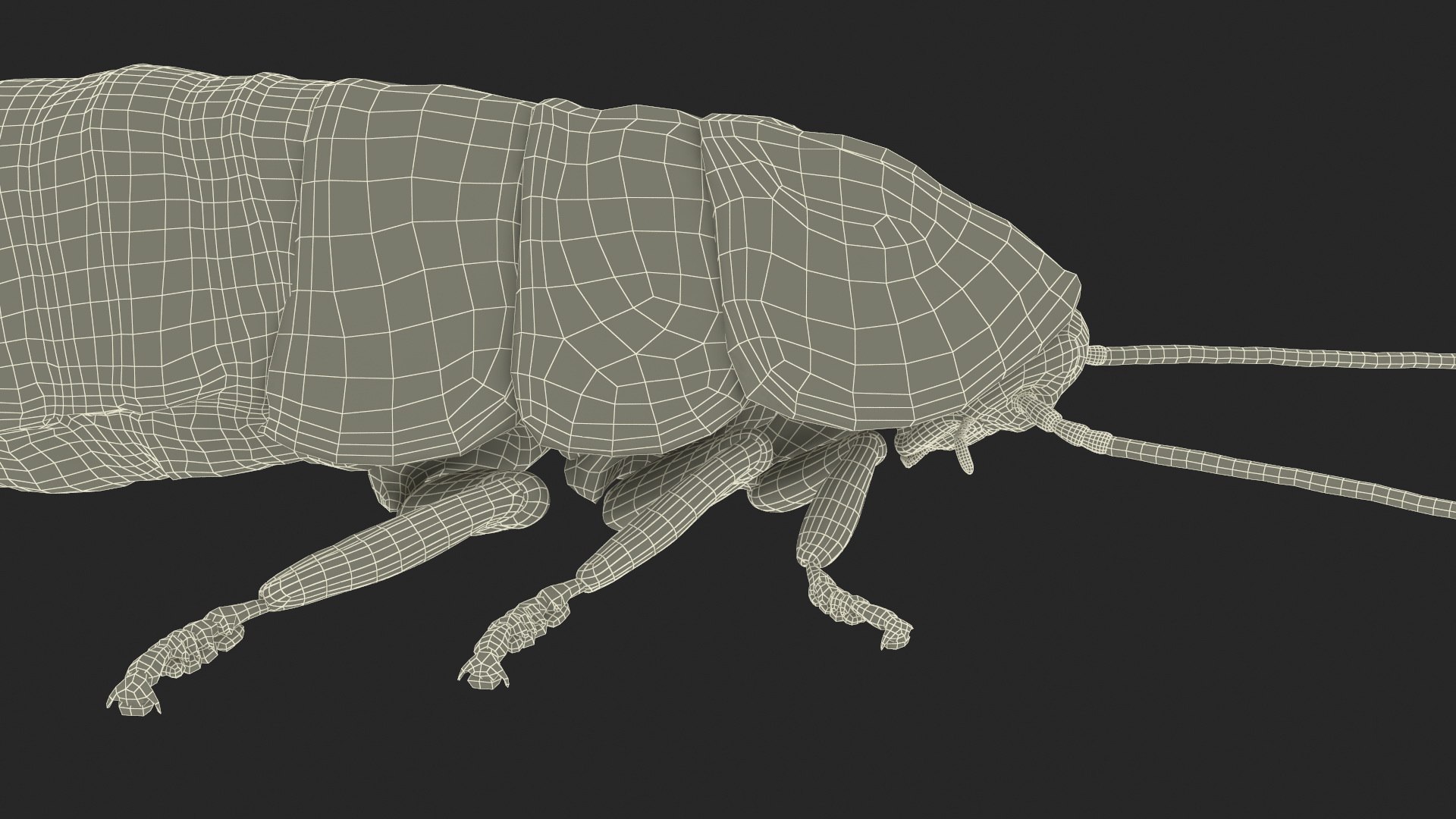 Brown Hooded Cockroach with Fur Rigged 3D model - TurboSquid 2158671