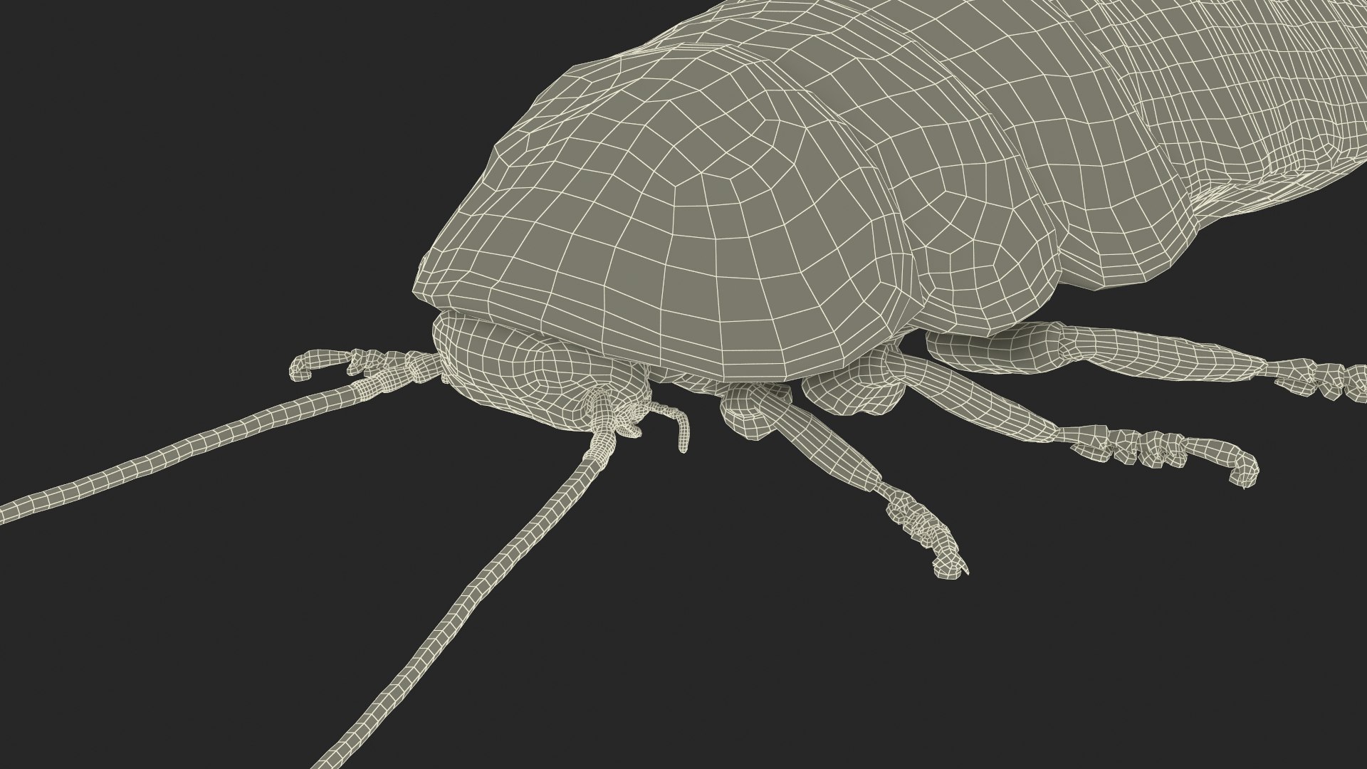 Brown Hooded Cockroach with Fur Rigged 3D model - TurboSquid 2158671
