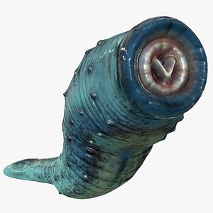 3D Leech Models | TurboSquid