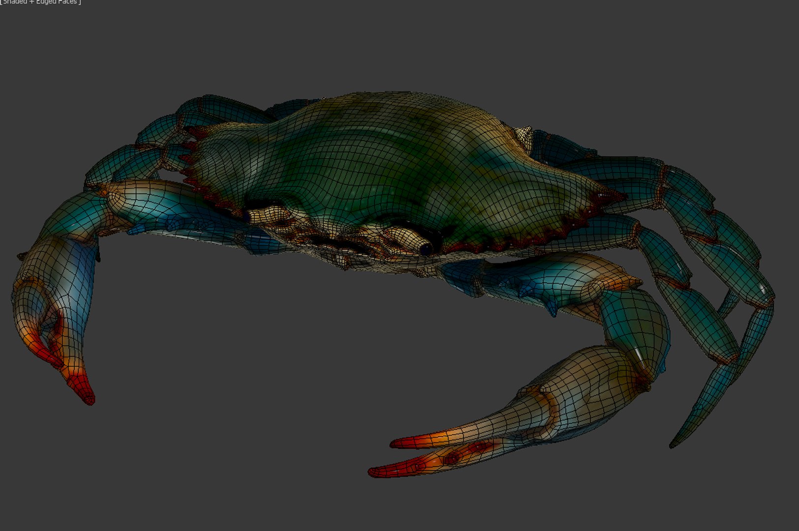 Blue Crab 3d Model