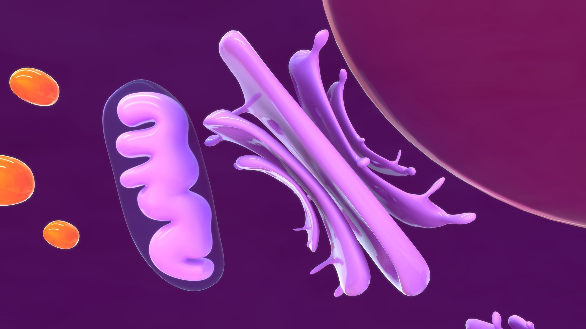 3D Model Gastric Chief Cell - TurboSquid 2187978