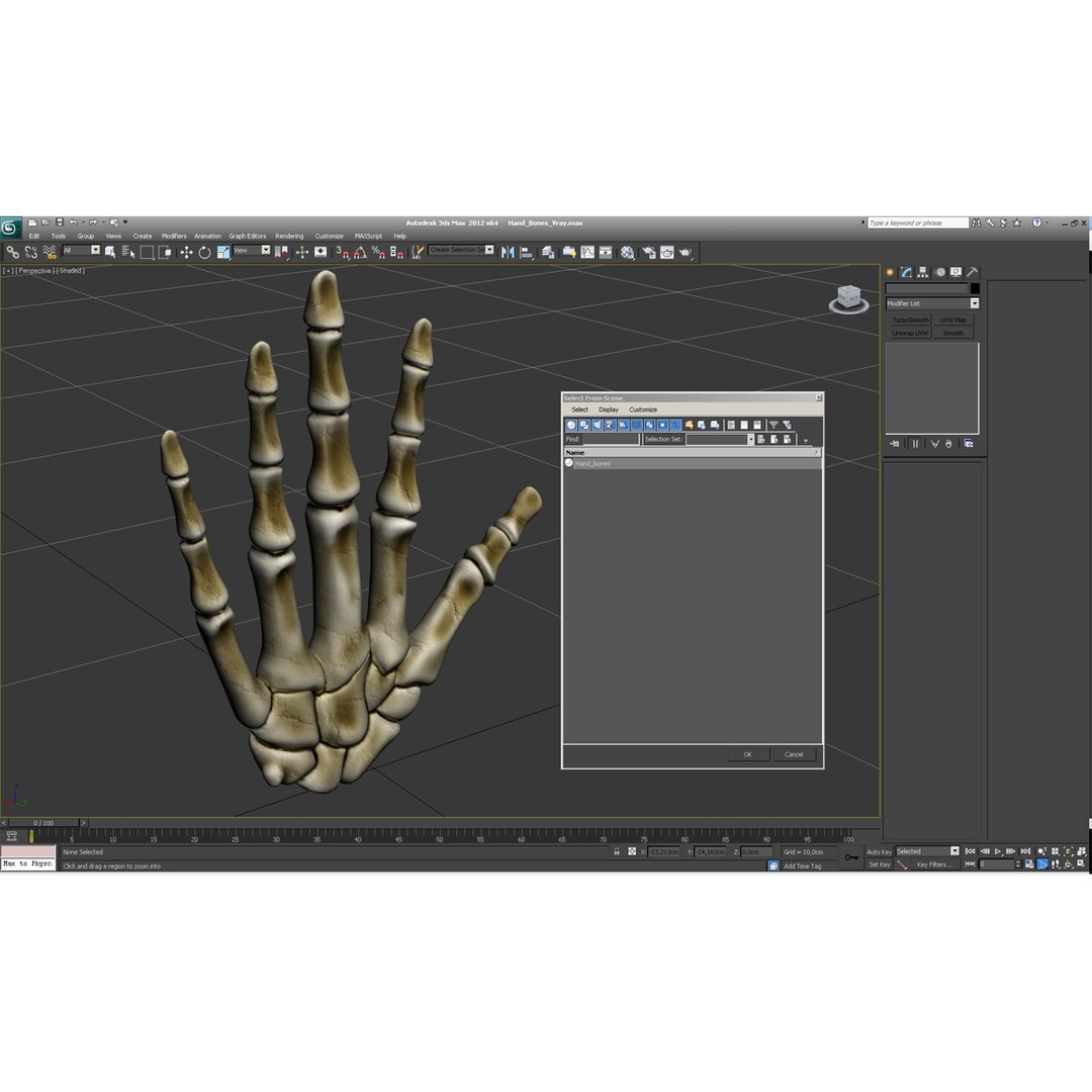 Hand Bones 3d Model
