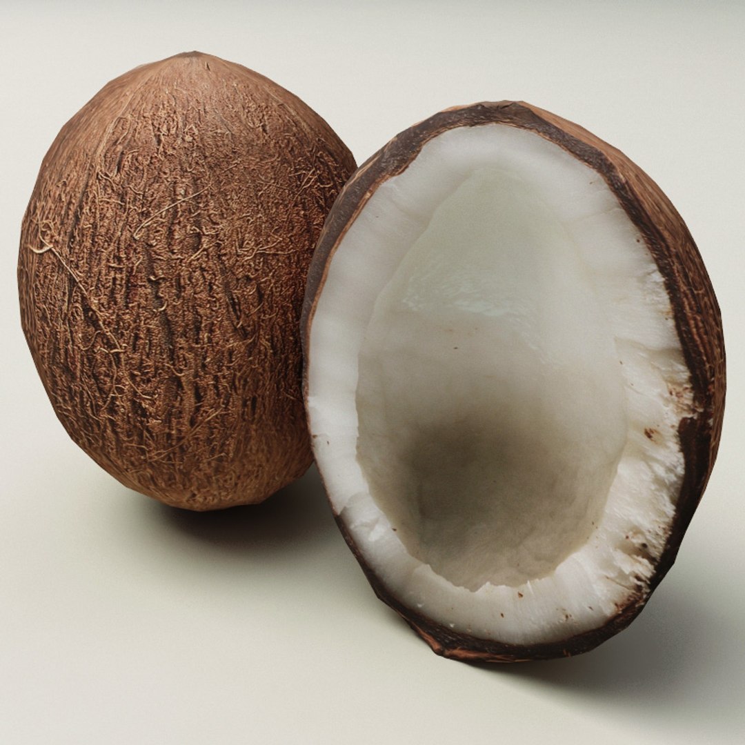 3d Coconut Nut Model
