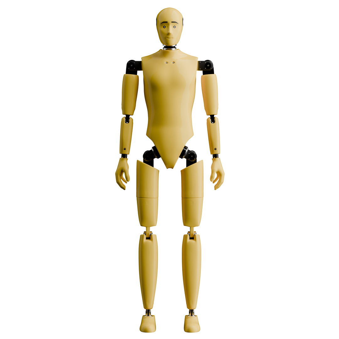 3D Crash Test Male Mannequin Model - TurboSquid 2191793