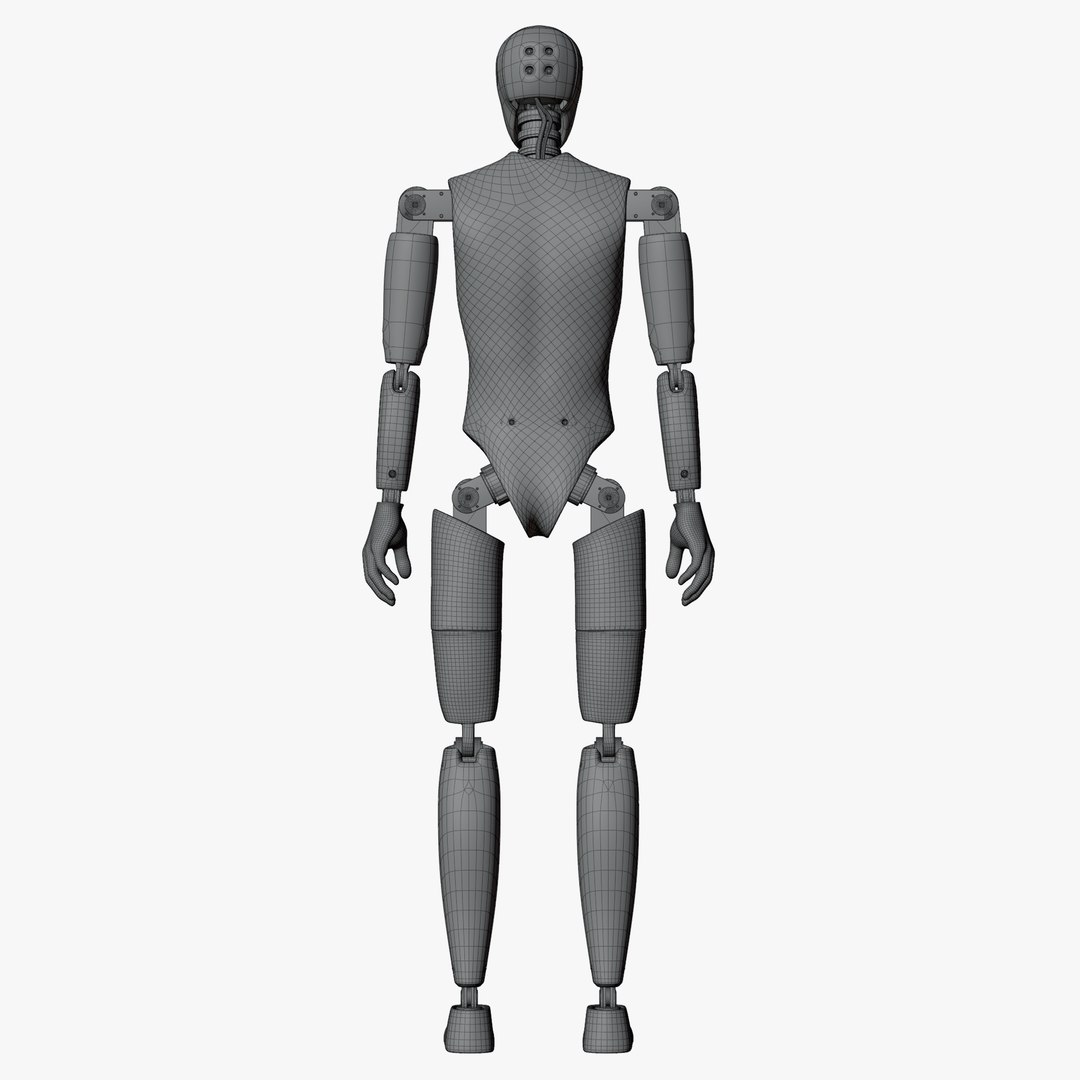 3D Crash Test Male Mannequin Model - TurboSquid 2191793
