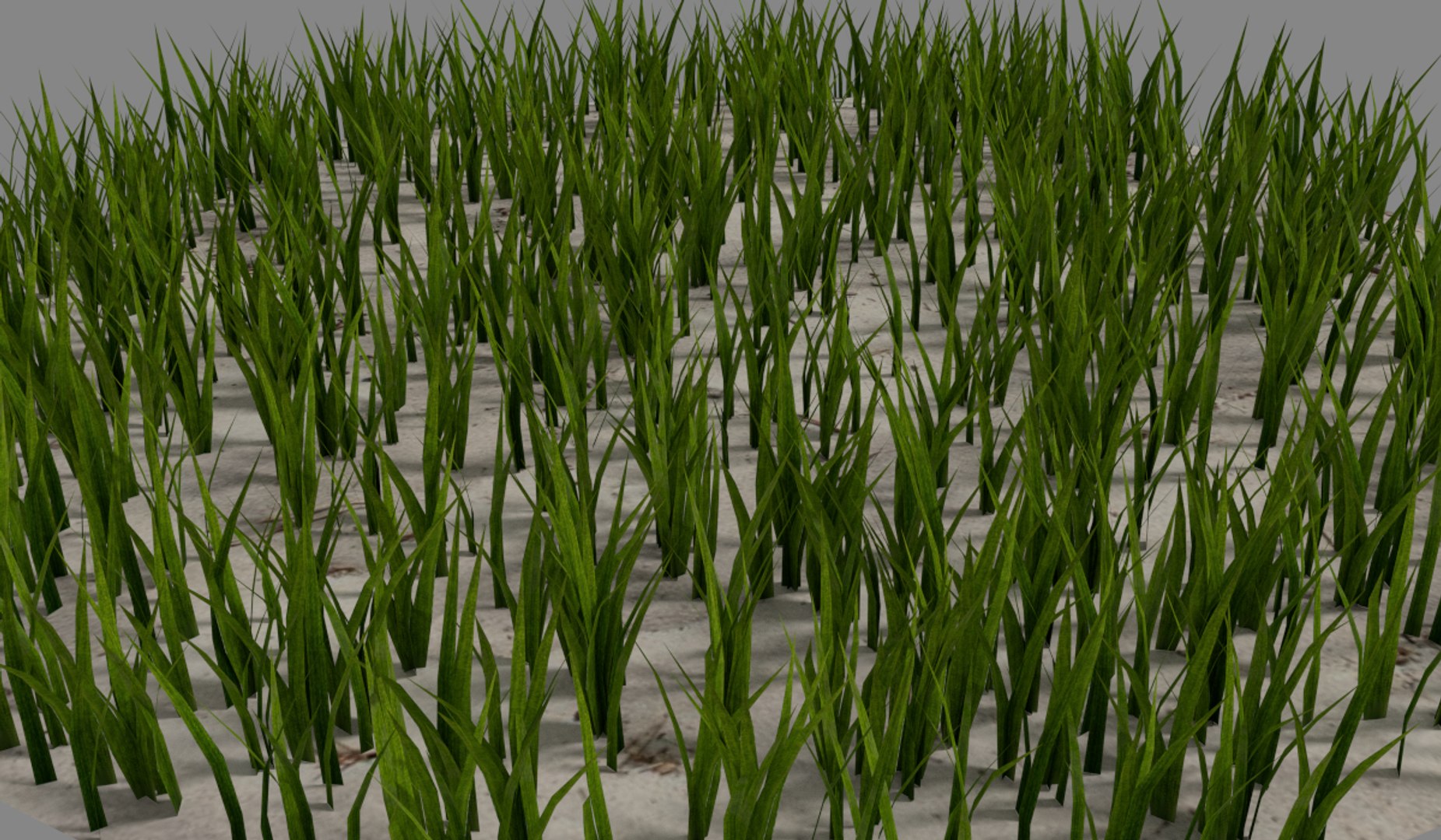 Realistic Grass 3d Obj